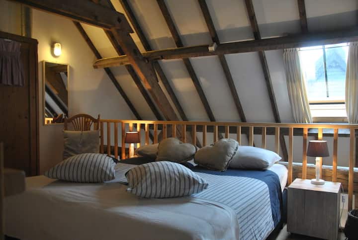 Den Heijkant Dun Havertaas - Tilburg