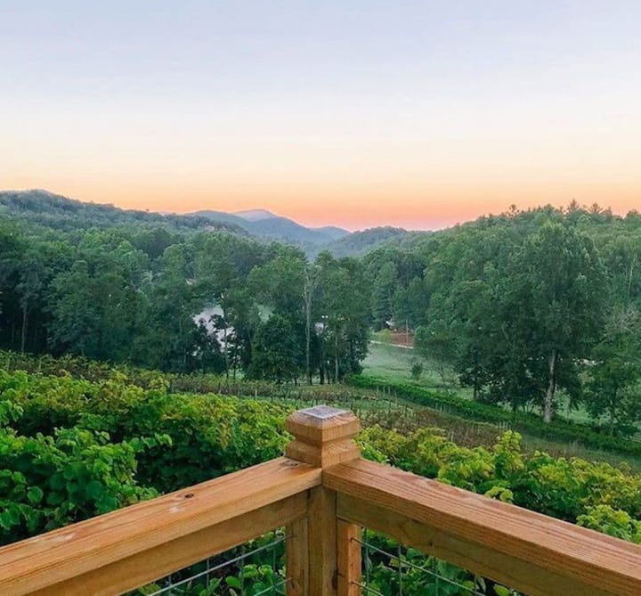 The Harvest House Cottage - Mountain Vineyard - Clayton, GA