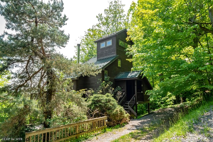 Mountain Mama - Hot Tub, Fireplace, Dog Friendly - Canaan Valley, WV