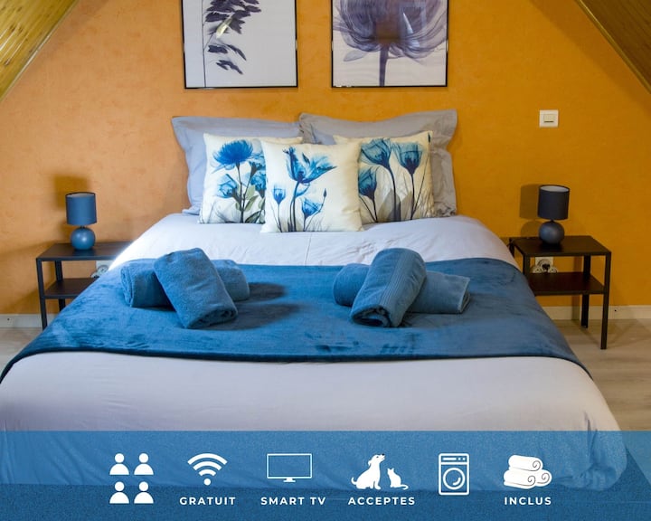 L'authentique Bleuet, Duplex Accepte Chien, Chat - Haut-Rhin