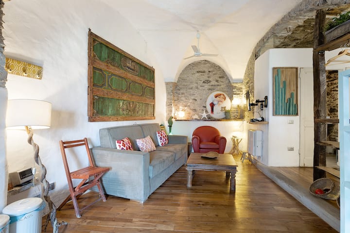 Green Cactus House - Levanto