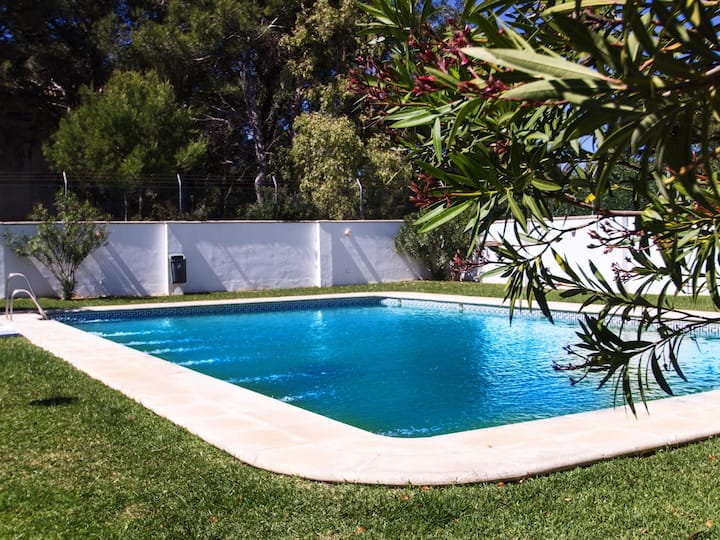 Rotonda Iv 1290 - Conil de la Frontera