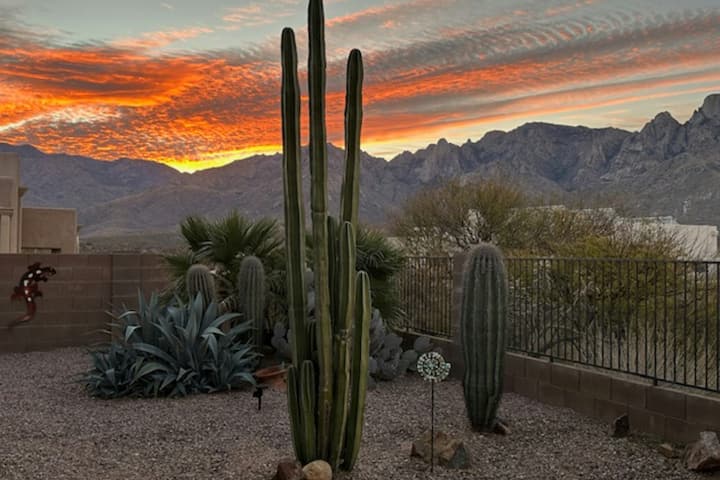 Open-concept 3br With Catalina Views & Great Patio - 卡塔利娜