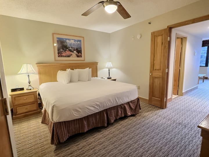 Pet-friendly Suite W/ Pool, Hot Tub, Ski In/out! - Crested Butte, CO