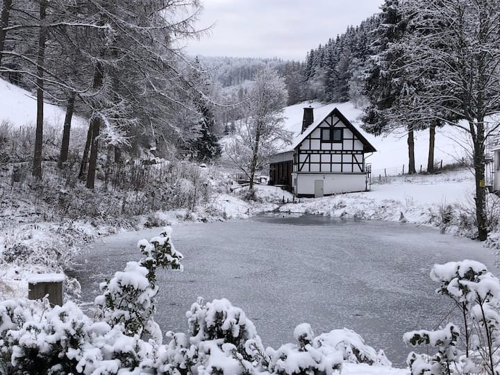 Retraite Au Bord De L'étang à Winterberg - Altastenberg