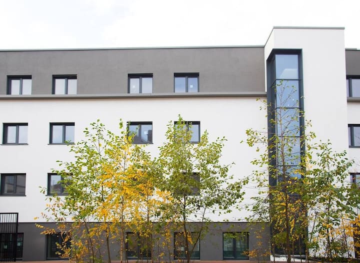 Nonrefundable Rate For Deluxe Triple Room - 