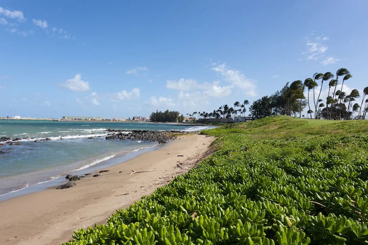 Kahului Hideaway: Beachfront Stay W/ Pool, 4 Rooms - Maui, HI