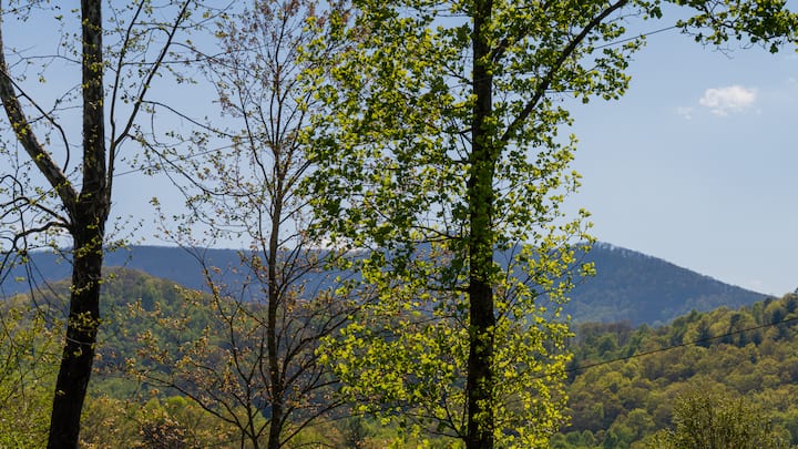 Peaceful Pines For Your Retreat - Black Mountain, NC