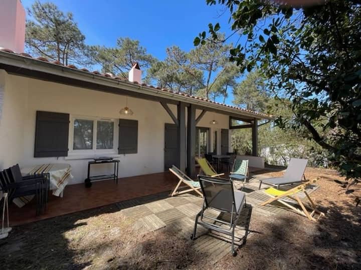 Villa Jalymour Pour 6 Personnes Au Canon - Lège-Cap-Ferret