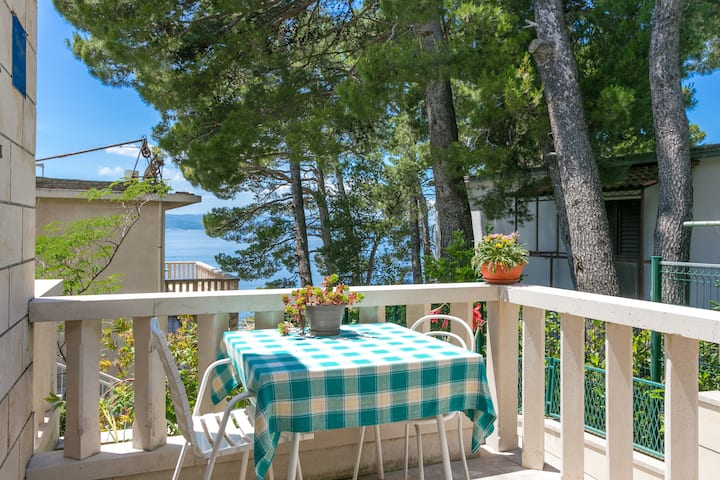 As-18356-e Garçonnière Avec La Terrasse Brela, - Brela