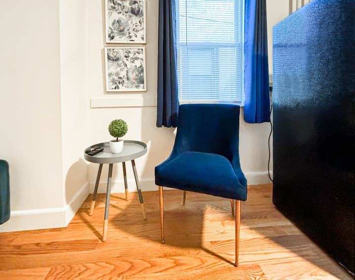 (S-p2) Stylish 2brm In Porter Sq! - Boston