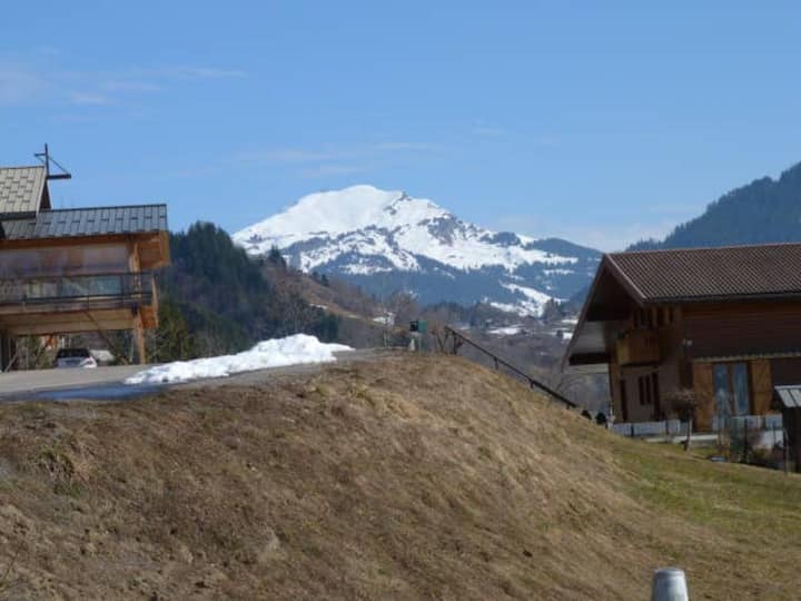 T1 Proche Grand Bornand Et Lac - Thônes