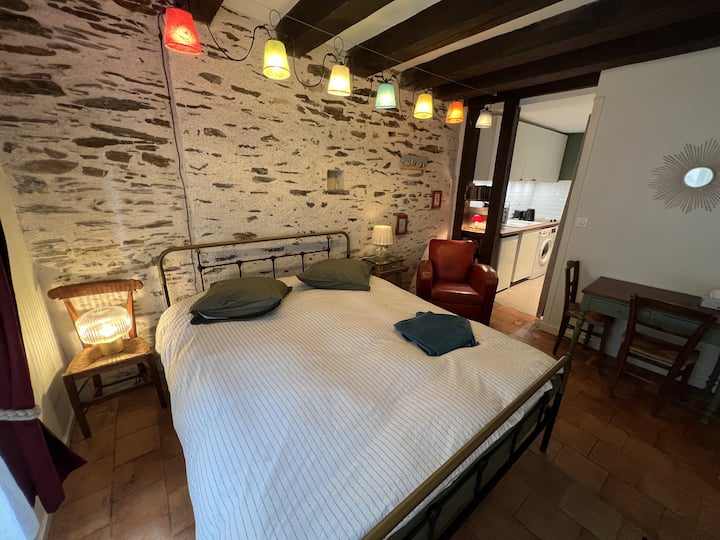 Studio Quartier Historique Angers Centre Gare - Angers