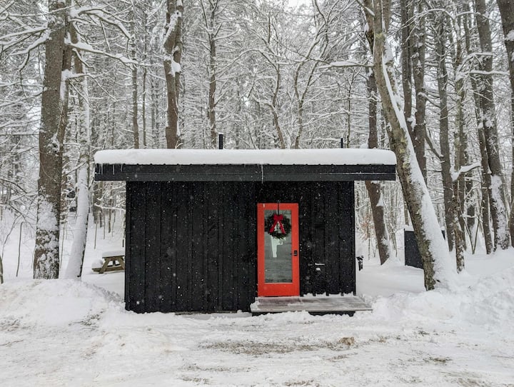 Modern, Luxurious Cabin In The Woods - 19 - Freeport, ME