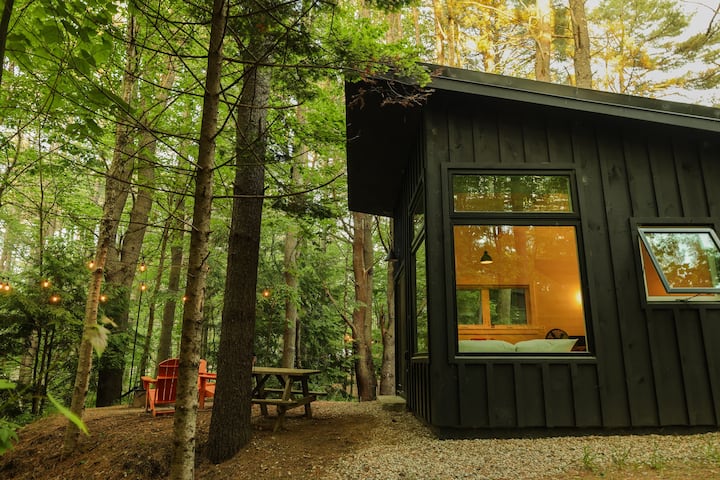 Modern, Luxurious Cabin In The Woods - 20 - Freeport