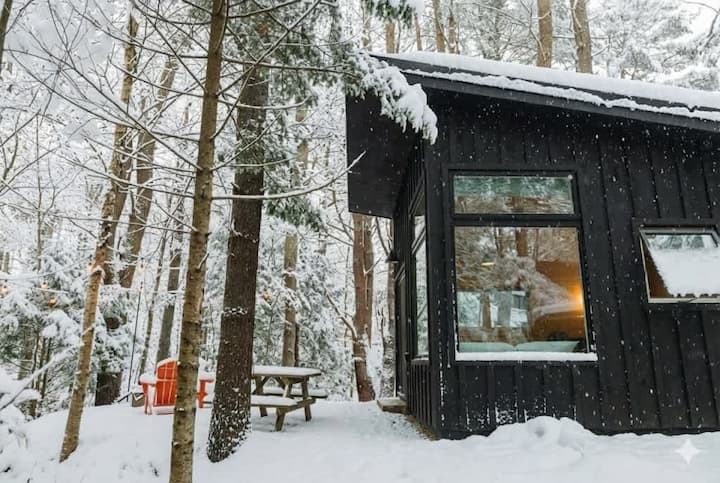 Modern, Luxurious Cabin In The Woods - 20 - Freeport