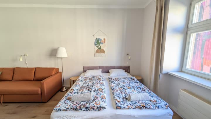 Flat In Zizkov (202) - プラハ