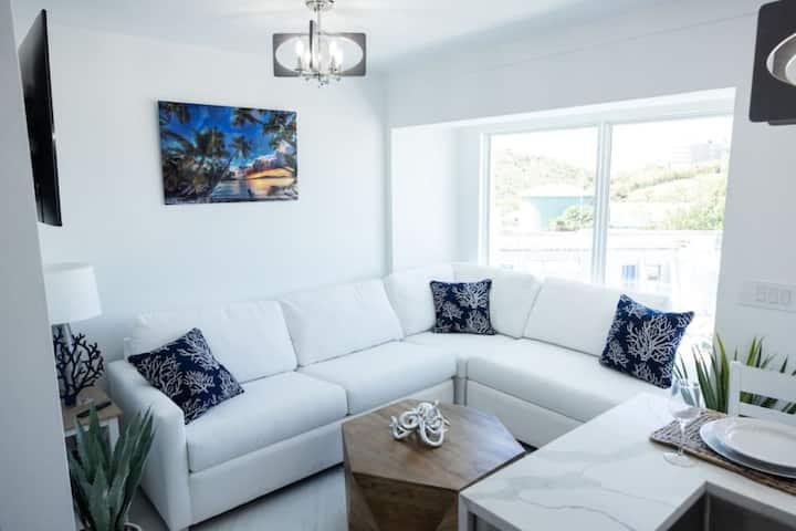 Dolphin Suites Unit 1 - Cruz Bay