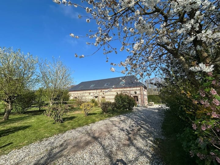 L'echo De La Nature Proche Mer Et Veules Les Roses - Veules-les-Roses