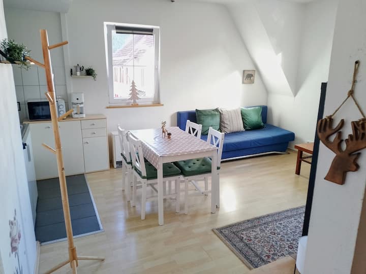 Ferienwohnung/app. Für 4 Gäste Mit 37m² In Baiersbronn (187162) - Baiersbronn