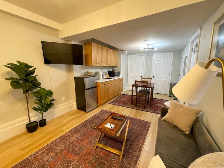 Renovated Studio, Near Hospitals, Mbta - Brookline, MA
