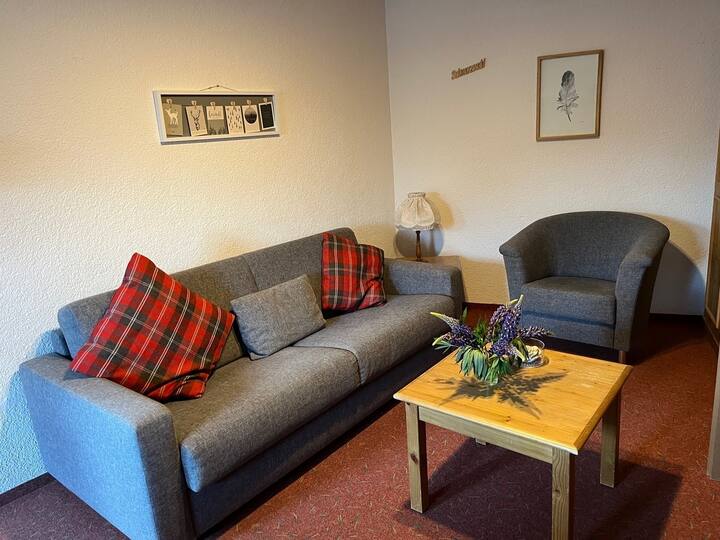 Residenz Roseneck App.19 Indoorpool, Todtnauberg - Todtnau