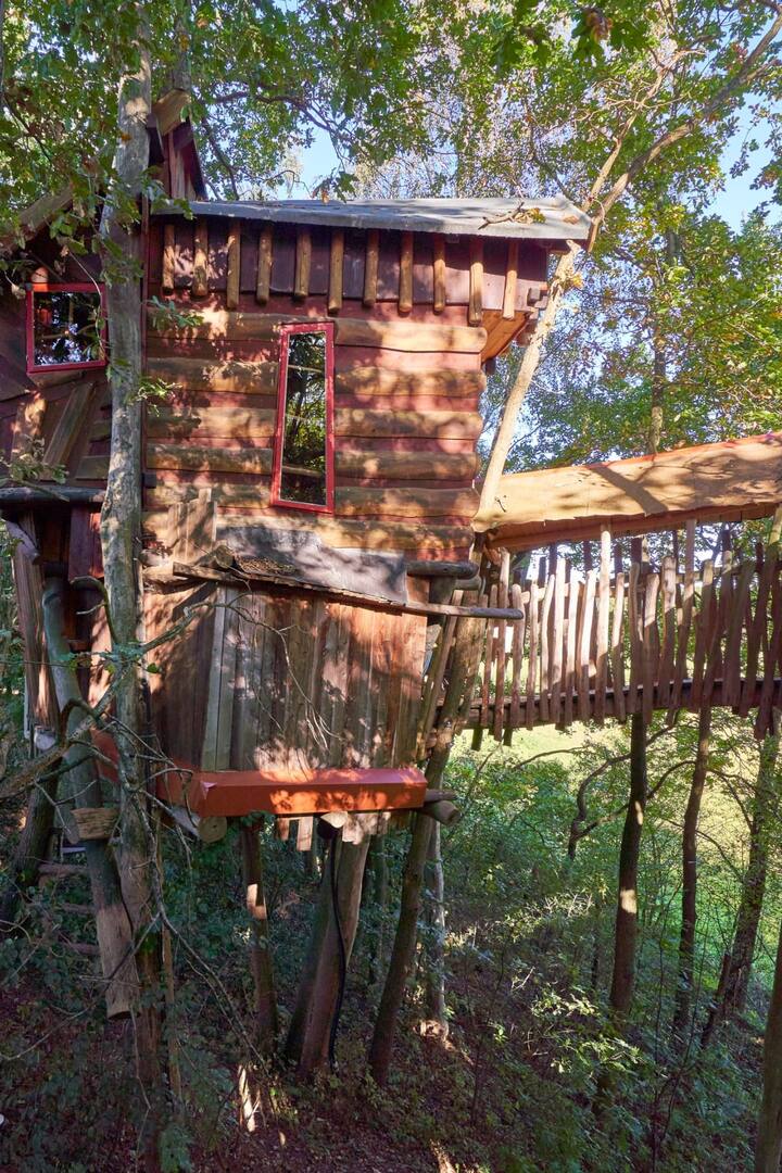 Künstlerische Holzgestaltung Bergmann Gmbh Bodelm - Rothenburg