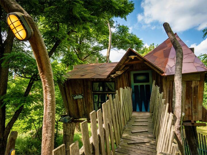 Die Geheime Welt Von Turisede The Poet's Forest H - Rothenburg