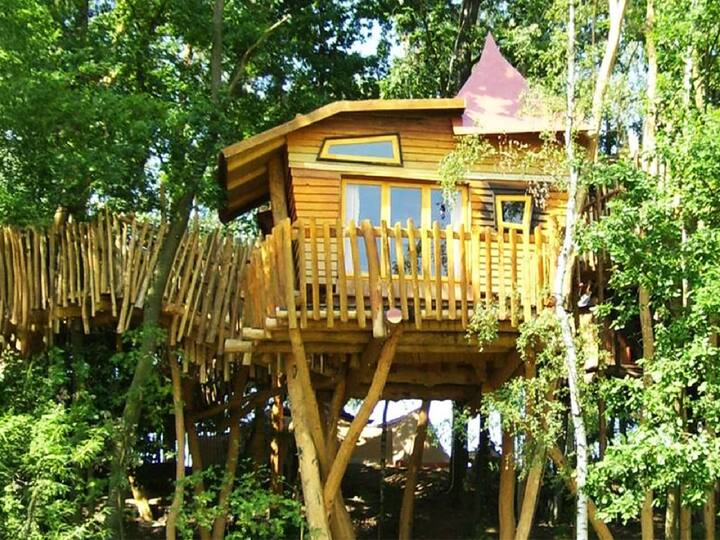 Die Geheime Welt Von Turisede Olve's Tree Castle - Rothenburg