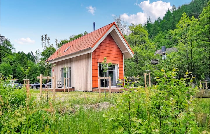 Cozy Home In Clausthal-zellerfeld - Wildemann