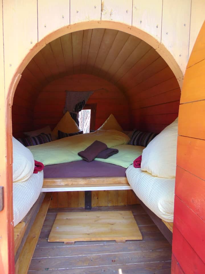 Die Geheime Welt Von Turisede The Forest Bed - Rothenburg