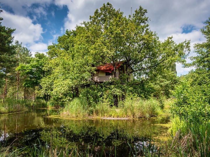 Die Geheime Welt Von Turisede The Island Tree Hou - 羅滕堡