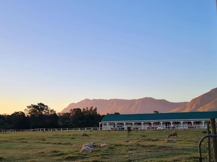 Die Dam Huis - Swellendam