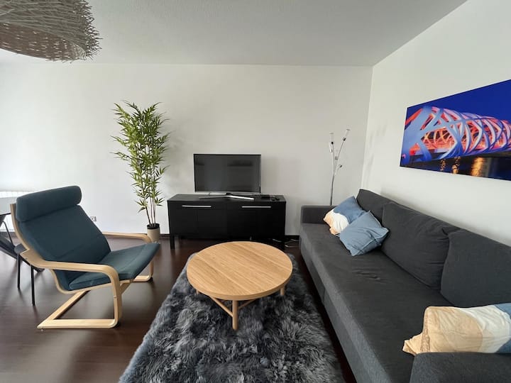 M21 *Marquer* Bel Appartement T2 Frontalier - Gaillard