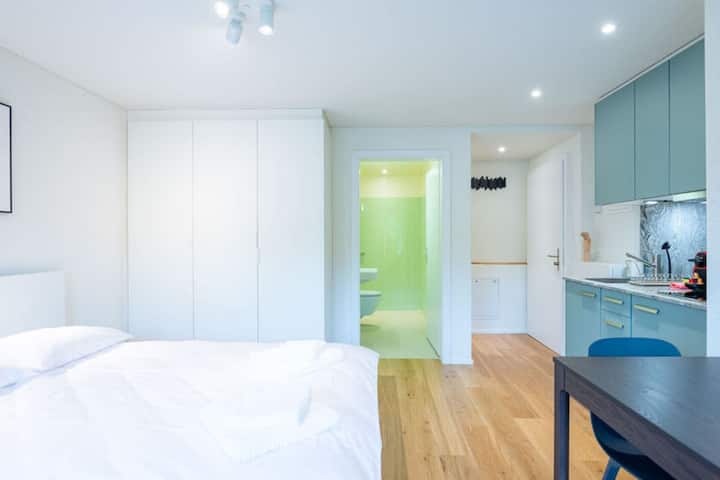 Zh Maxilla 3 - Riesbach Hitrental Apartments - Zürich