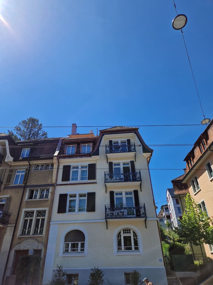 Zh Tibia 1 - Riesbach Hitrental Apartments - Zürich