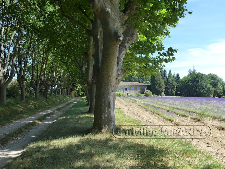 La Chapelle, Gîte Avec Piscine Chauffée - Valréas