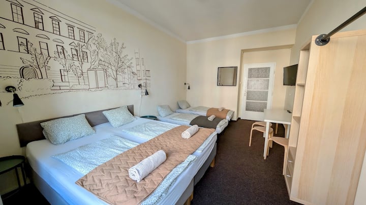 Flat In Zizkov (103) - Praga