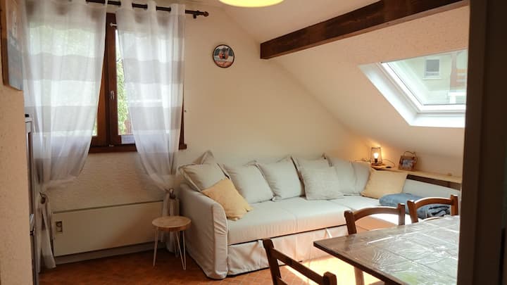 A Deux Pas Du Téléphérique Résidence Palos Appart - Piau Engaly