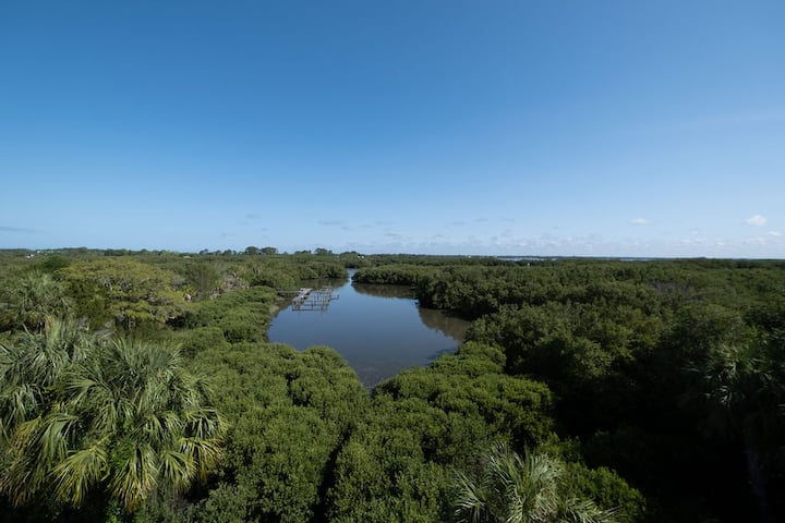 Nature's Landing C302 Pool And Amazing Water View! - Cedar Key, FL
