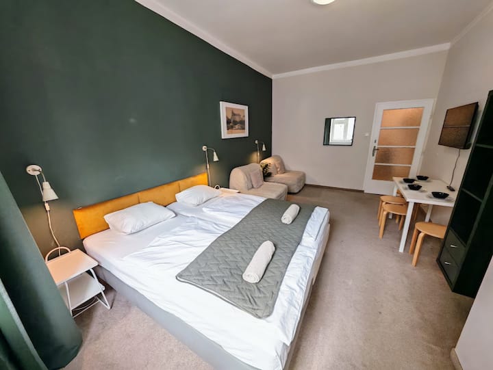 Apartment In Zizkov (301) - Prag