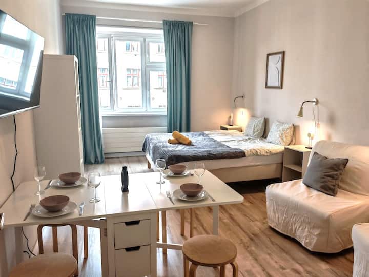Apartment In Zizkov (303) - プラハ