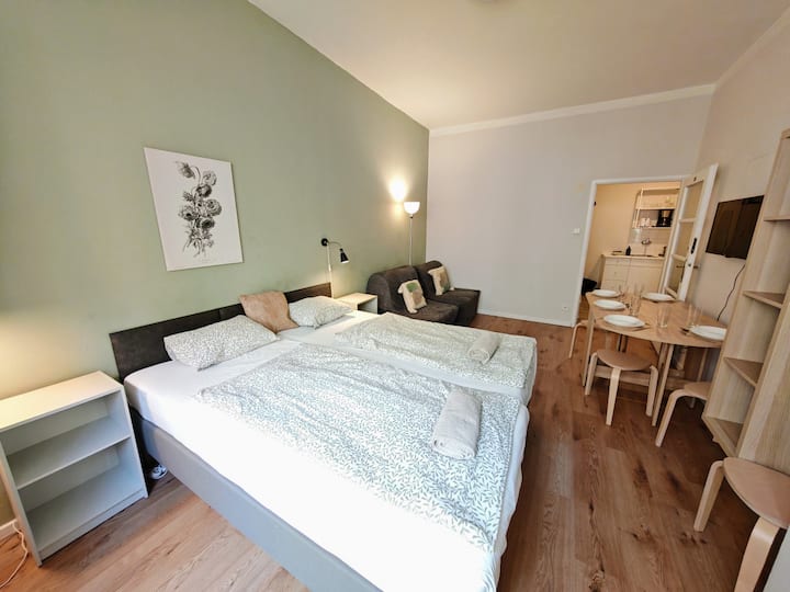 Flat In Zizkov (101) - Prague