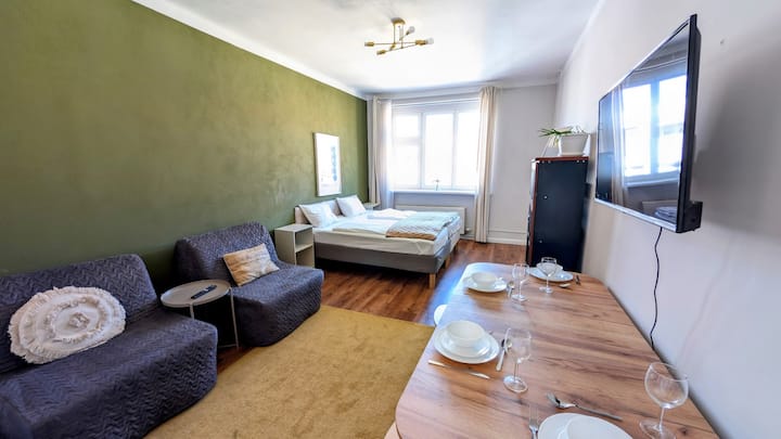 Flat In Zizkov (503) - Praag