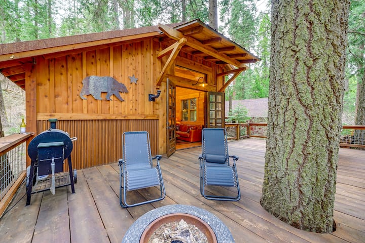 Creekside Cabin ~ 20 Mi To Kings Canyon Park! - Sequoia National Park