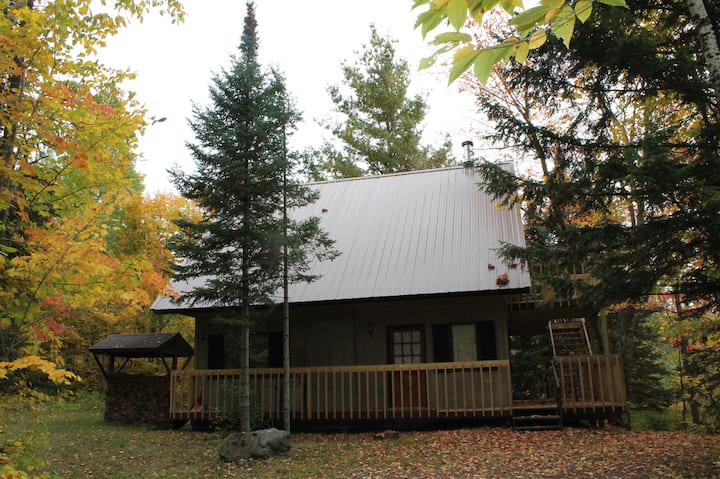 Sugar Pine - Ironwood, MI