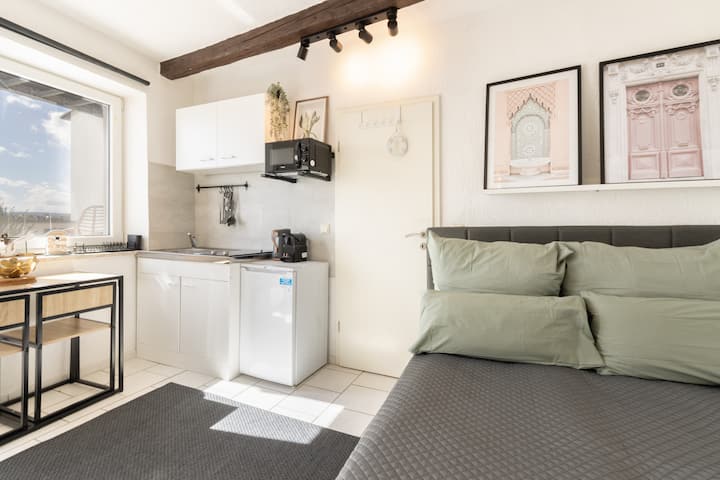 Petit Appartement Avec Grande Terrasse Sur Le Rhin - Neuwied