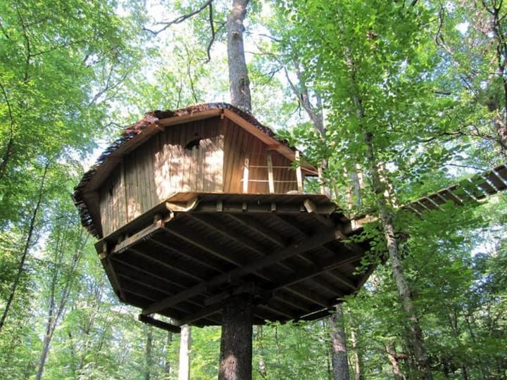 Cabane De La Ferme - Droyes