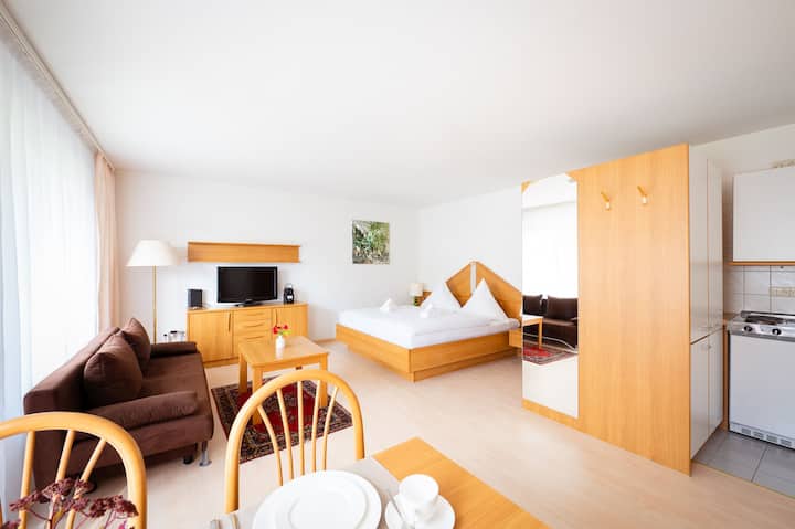 Fewo Schneckenhalde App 12 - Bad Säckingen