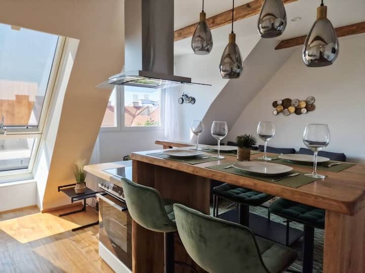 Traumhafte 4-zimmer Wohnung Mit Air Condition Neu - Vienne